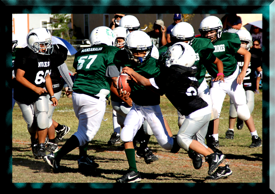 Springlake-Earth Elementary | Little Wolverines