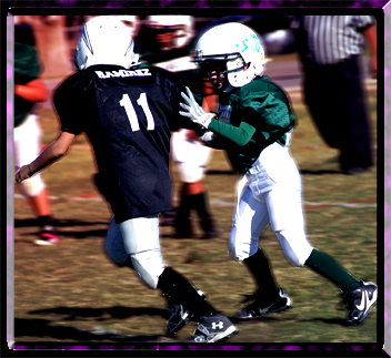 Springlake-Earth Elementary | Little Wolverines