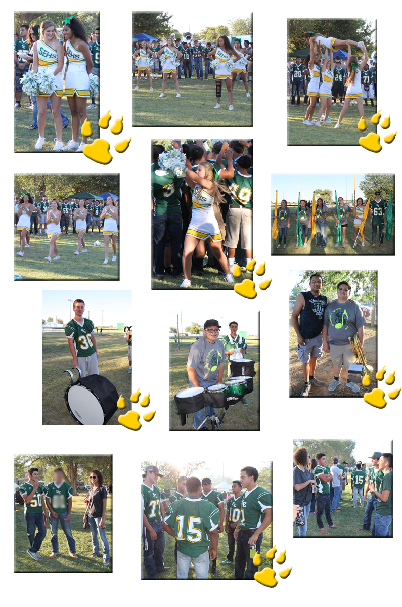 Springlake-Earth High School | Meet The Wolverines