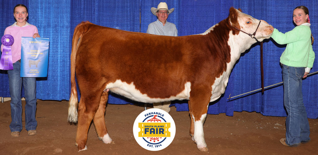 Springlake-Earth ISD