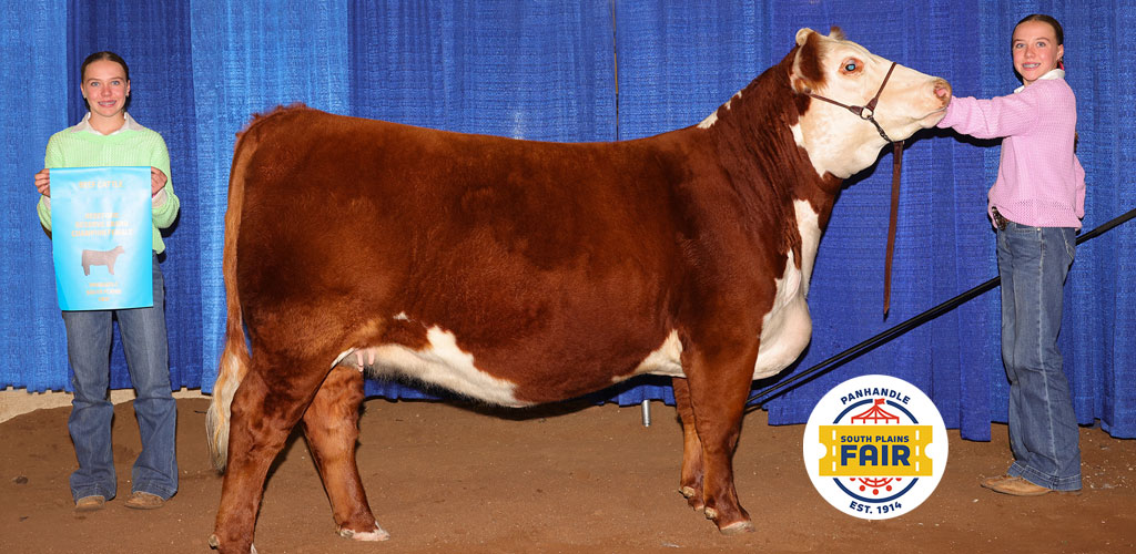 Springlake-Earth ISD