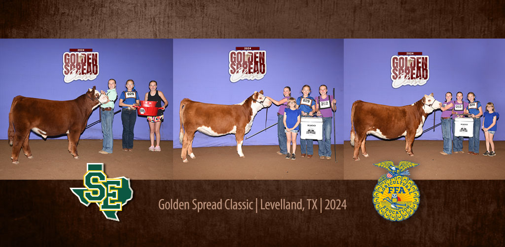 Springlake-Earth ISD