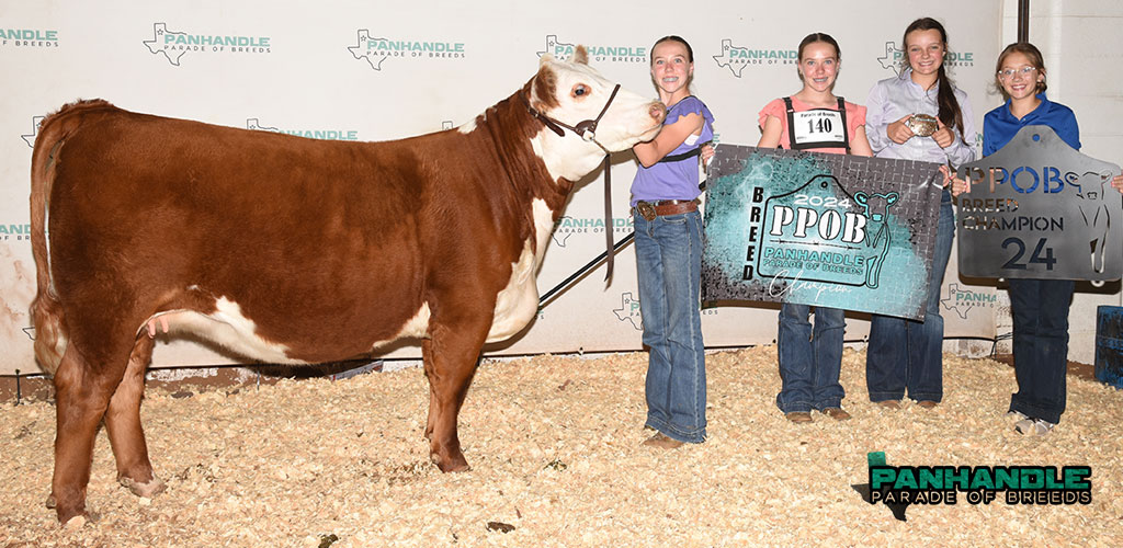 Springlake-Earth ISD